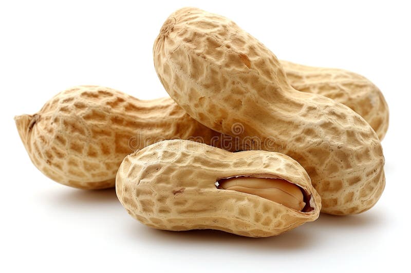 Peanuts in shell stock illustration. Illustration of natural - 342852110