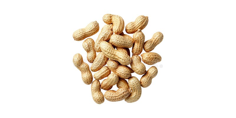 Peanuts Shell Nutritious Snack Protein Source Isolated Transparent ...