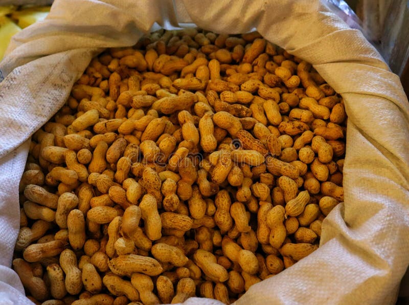 Peanuts (in Shell) Pastel Nutrition Stock Photo - Image of nutrition ...