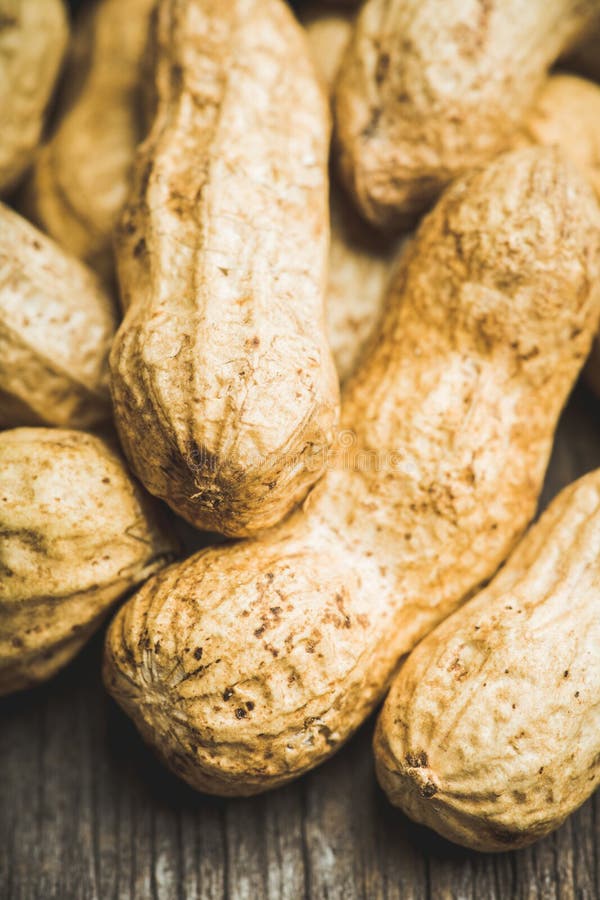 Peanuts in shell stock photo. Image of diet, tasty, selective - 172340142
