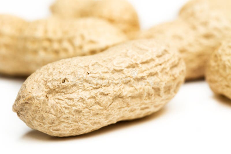 Peanuts with shell stock image. Image of group, white - 156493101