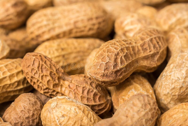 Peanuts in Shell stock photo. Image of fresh, dried, delicious - 40138942