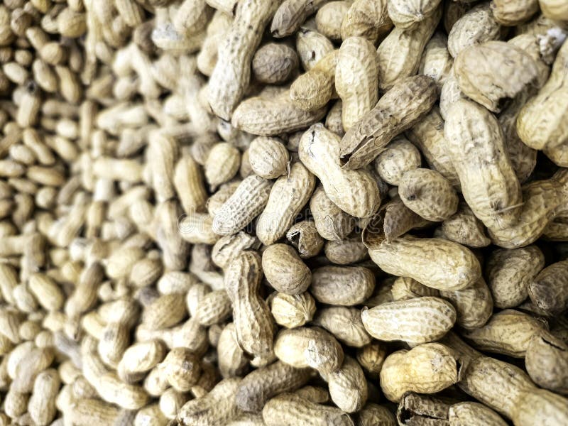 Peanuts with shell stock photo. Image of closeup, vegetable - 358985288