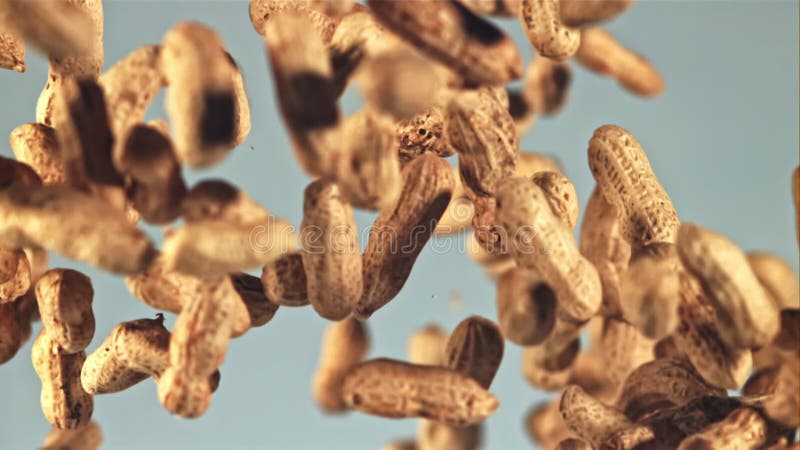 Peanuts Fall into a Wooden Bowl. Filmed on a High-speed Camera at 1000 ...