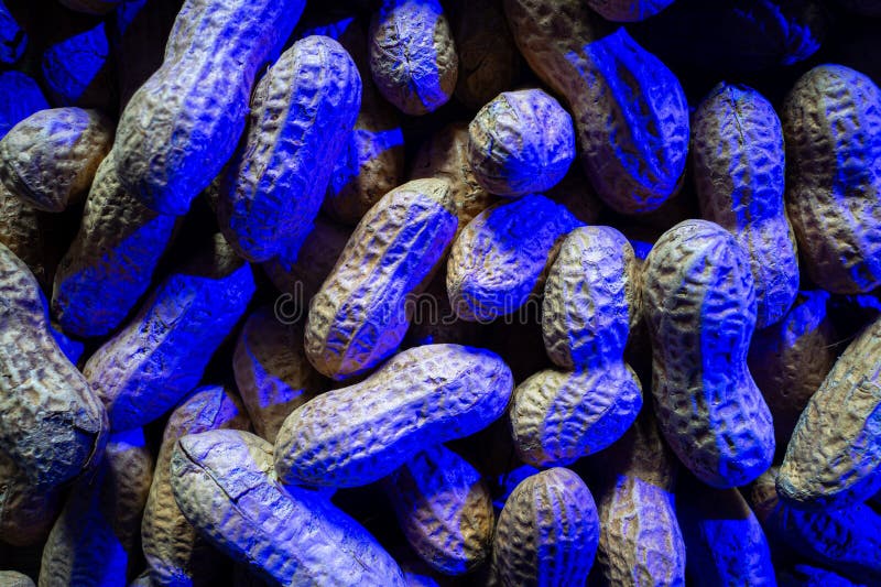 Peanuts in Shell Stacked in Blue Hues. Stock Image - Image of peanuts ...