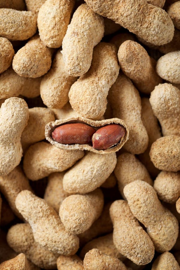 Peanuts with shell stock image. Image of cuisine, diet - 144414647