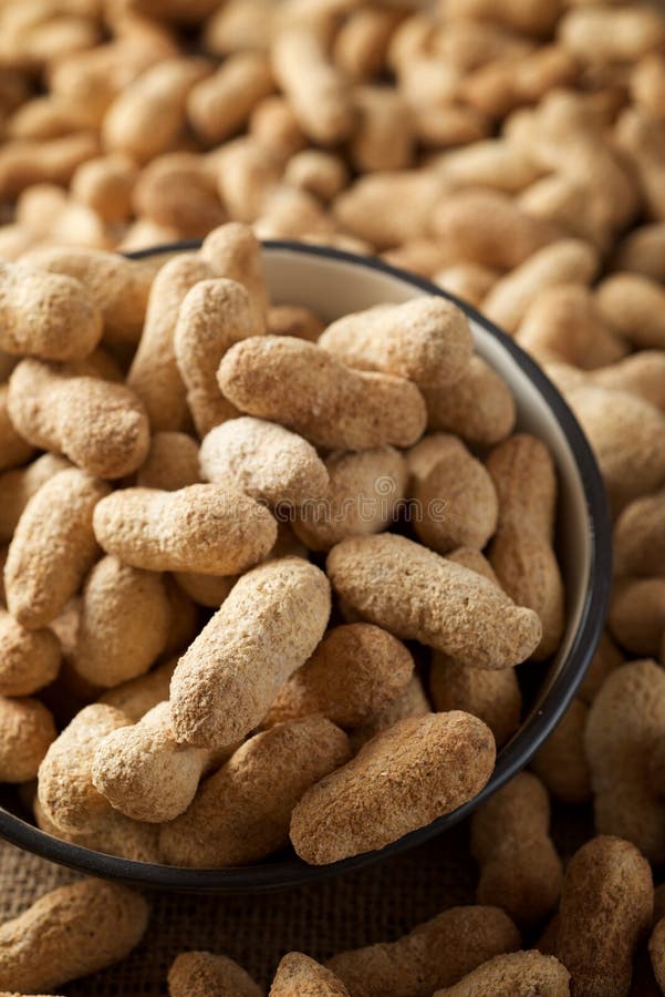 Peanuts with shell stock photo. Image of diet, organic - 145695918