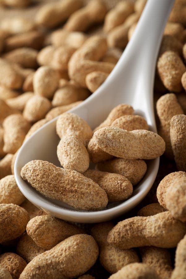 Peanuts with shell stock image. Image of organic, appetizer - 145695933