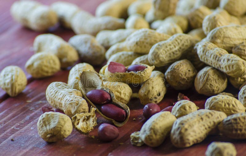 Peanuts in shell stock image. Image of fried, agriculture - 90388667