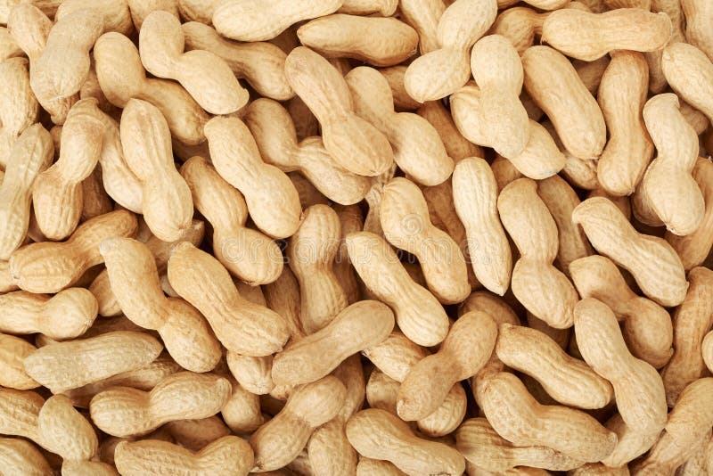 Peanuts in shell border stock image. Image of clipping - 36036731