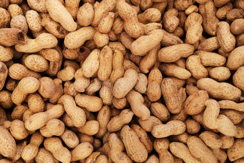 Peanuts Shell Texture Background Raw Peanuts Display Stock Photos ...