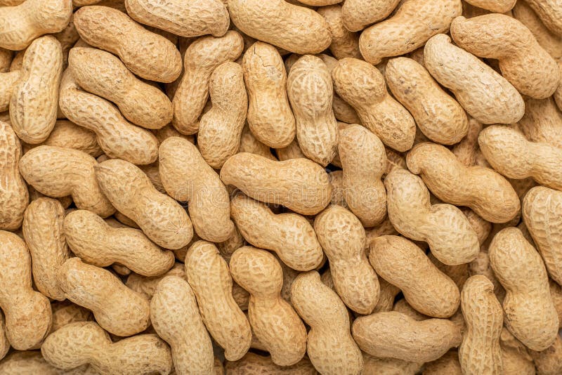 Peanut Shell Texture Stock Photos - Download 5,920 Royalty Free Photos