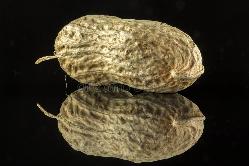 Peanuts in Shell on White Background, Healthy Food Stock Photo - Image ...