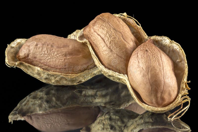 Peanuts in the Shell on Top of a Black Reflective Surface Close Up ...