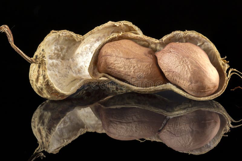 Peanuts in the Shell on Top of a Black Reflective Surface Close Up ...
