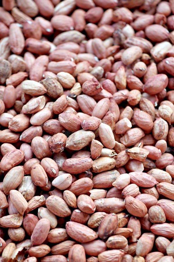 Peanuts shelled out. stock photo. Image of protein, fruit - 36669716