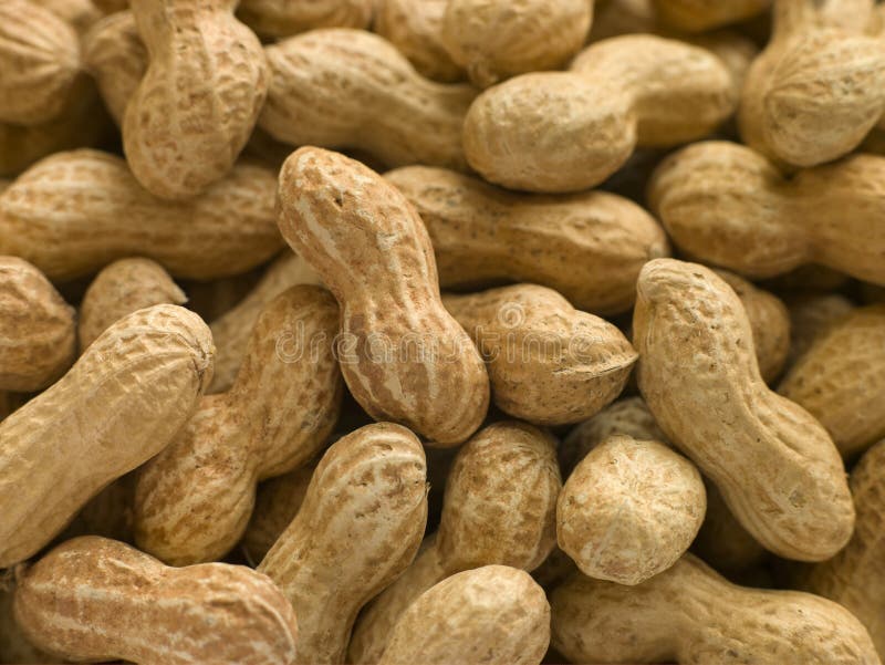 Peanuts in Shells stock photo. Image of close, shells - 7230116