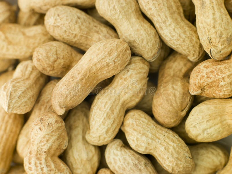 Peanuts in Shells stock image. Image of colour, view, color - 7230267
