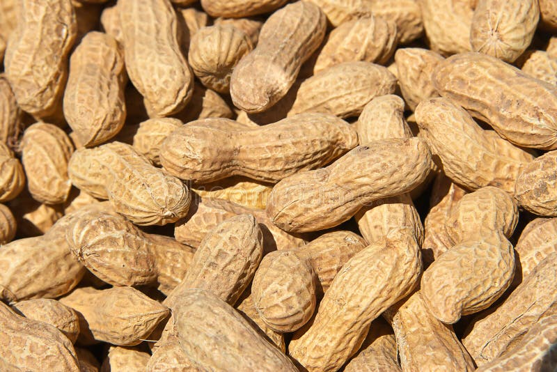 Peanuts in Shells stock image. Image of colour, view, color - 7230267