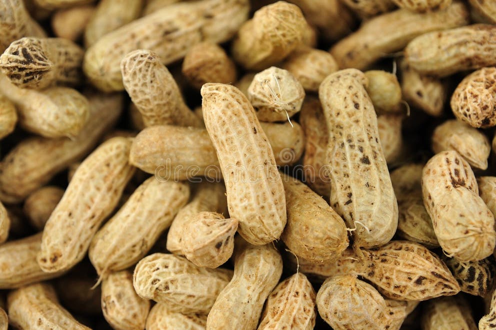 Peanuts in Shells, Background and Patterns. Stock Photo - Image of ...