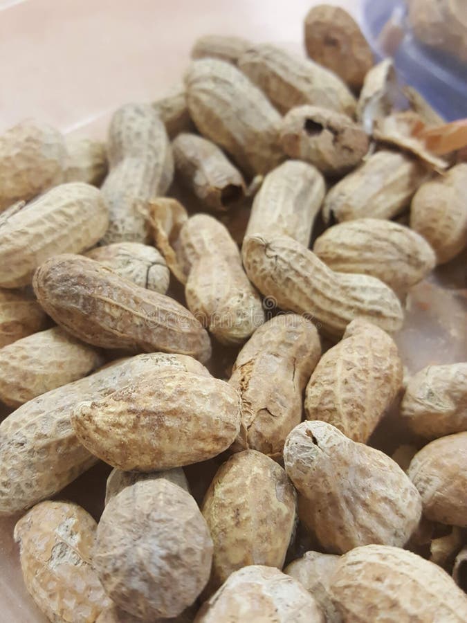 Peanuts in shells stock photo. Image of ingredients - 118542404