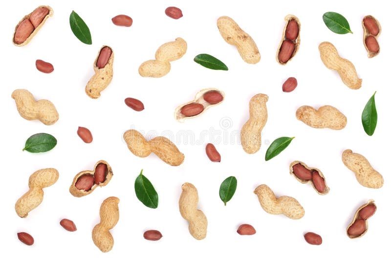 Peanuts with Shells Isolated on White Background, Top View. Flat Lay ...