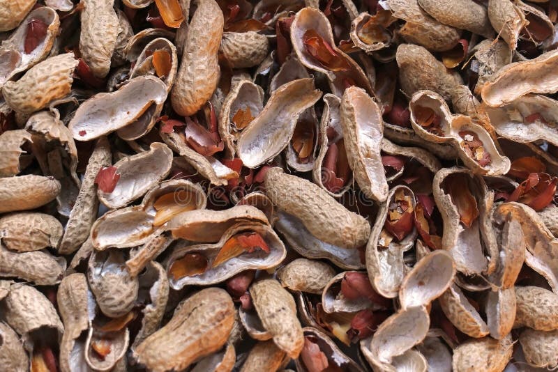 Peanuts in shells stock photo. Image of groundnuts, natural - 13334324