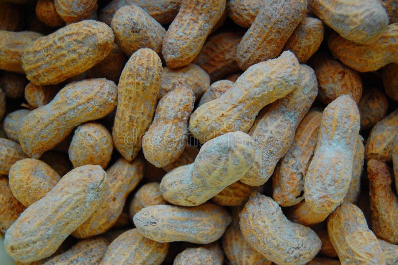 Peanuts in Shells, One upon the Other Stock Photo - Image of food ...