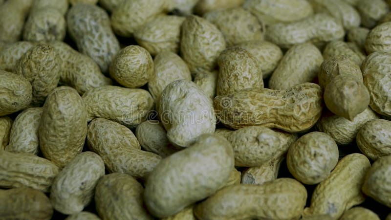 Peanuts in the Skin in Close-up, Peanut Legume Sliding Stock Footage ...