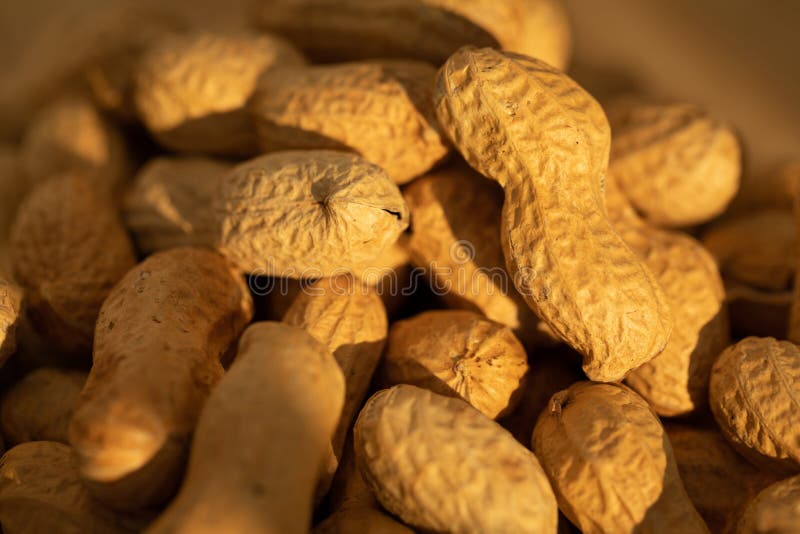 Peanuts in Shells. Roasted in the Shell Peanuts Stock Image - Image of ...