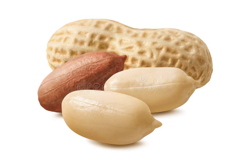 Peanuts in Shells and in Skins Isolated on White Background Stock Image ...