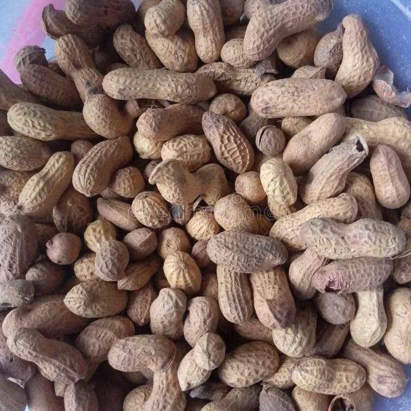 167 Mungfali Tweens Stock Photos - Free & Royalty-Free Stock Photos ...