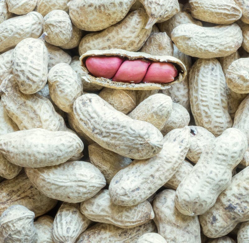 16,079 Peanuts Texture Stock Photos - Free & Royalty-Free Stock Photos ...