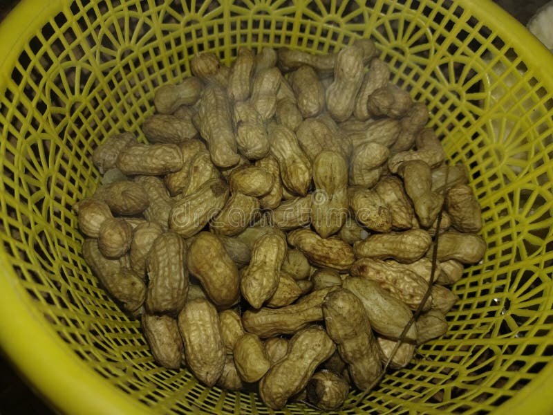 A Peanuts, Kacang Tanah or Kacang Kulit Stock Image - Image of peanut ...