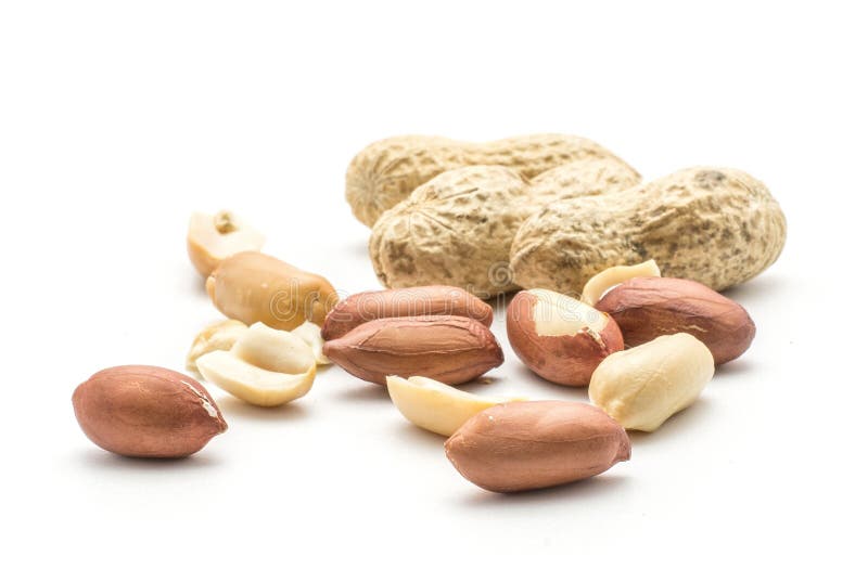 Raw Peanut Isolated on White Stock Photo - Image of background, monkey ...
