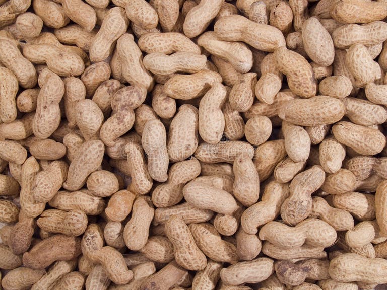 305 Bald Head Texture Stock Photos - Free & Royalty-Free Stock Photos ...