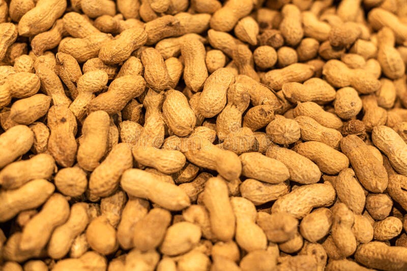 Peanuts in Their Shell Texture Food Background Fresh Delicious Vivid ...