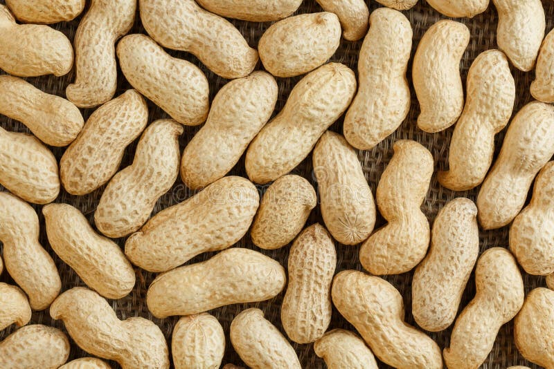 Peanuts in Their Shell Textured Food Background Stock Image - Image of ...