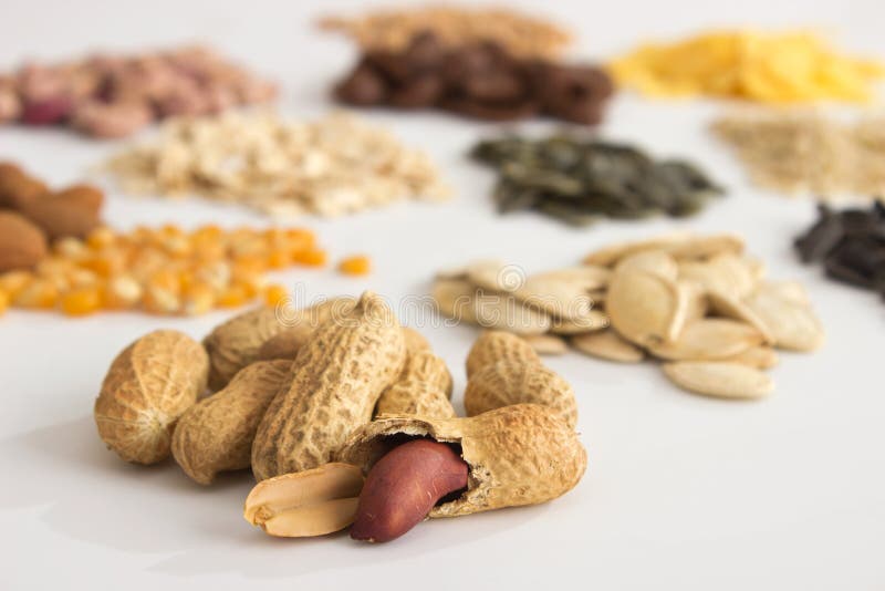 Peanuts stock photo. Image of natural, chocolate, delicious - 31363540