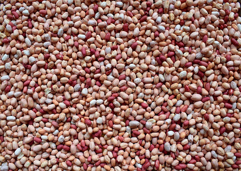 Peanuts of Various Varieties on the Plane Stock Photo - Image of ...