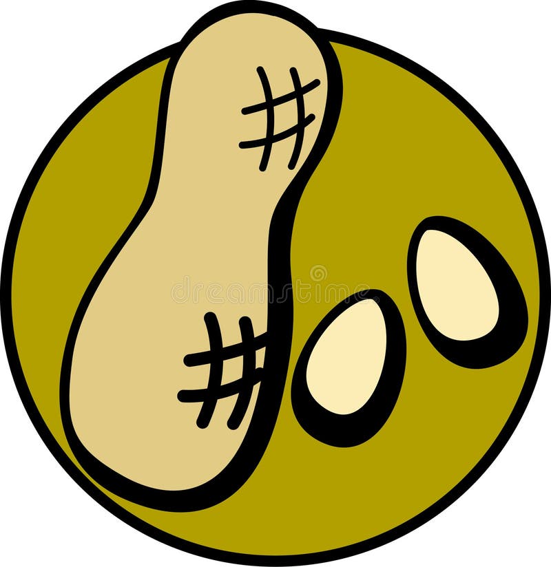 Peanuts Vector Illustration Stock Vector - Illustration of nutritious ...