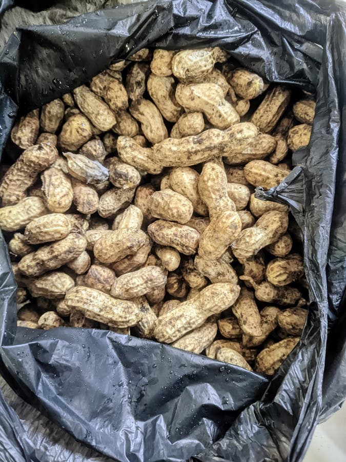 Peanuts are Very Delicious when Roasted Stock Photo - Image of ...