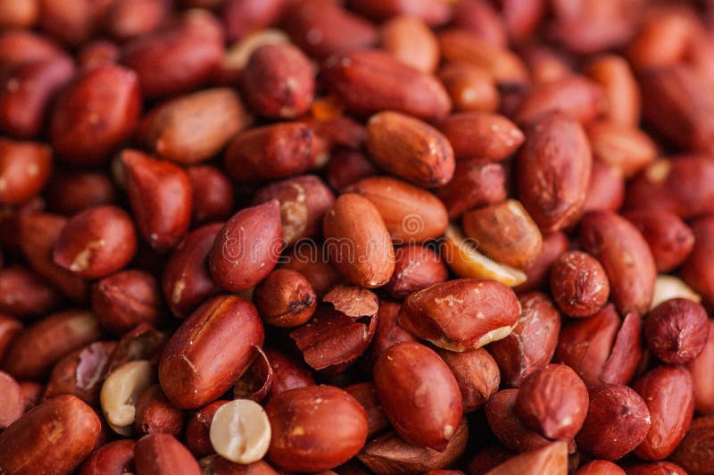 Peanuts Viewed from Above. Peanut. Source of Vegan Protein Stock Photo ...