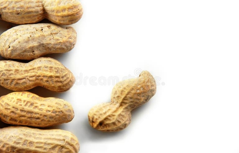 415 Peanuts Border Stock Photos - Free & Royalty-Free Stock Photos from ...