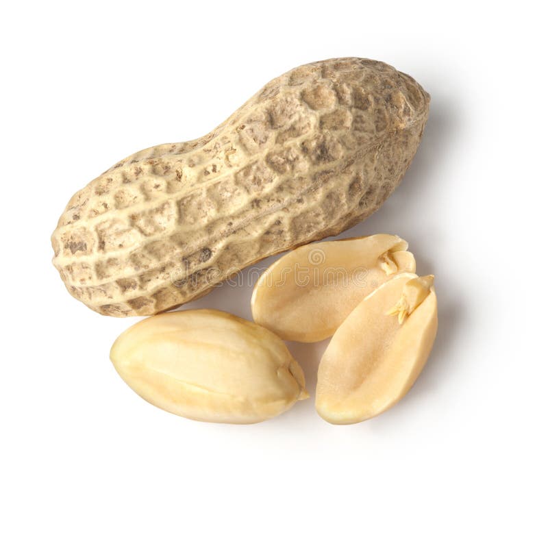 Roasted peanuts isolated stock image. Image of proteins - 3790337