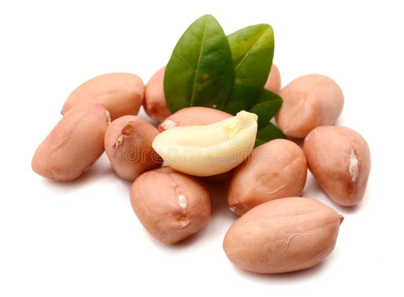 Processed Peanuts on White Background Stock Image - Image of shell ...