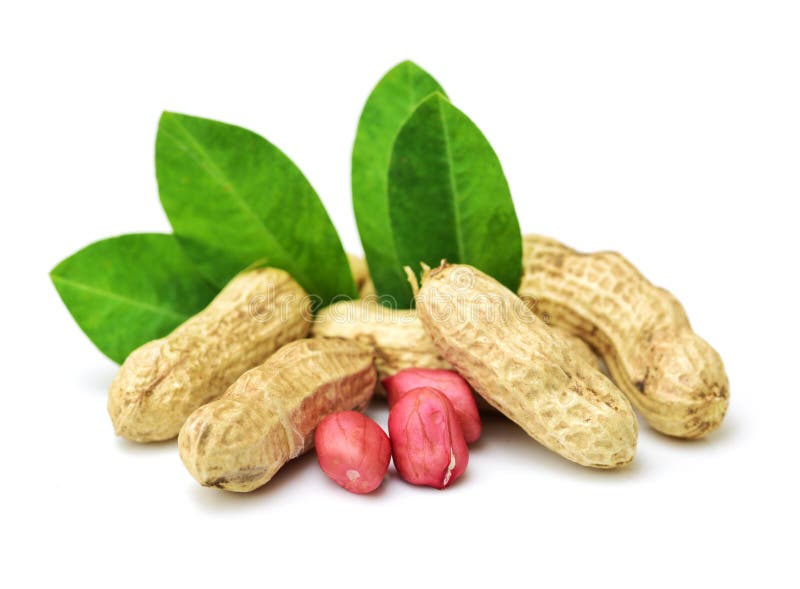 Peanuts on White Background Stock Image - Image of pattern, green ...