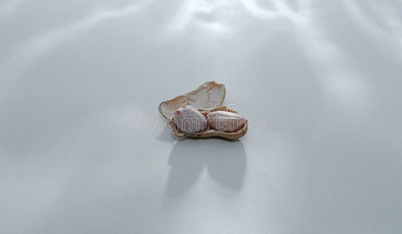 Peanuts on White Background with Sun Rays Shadow Stock Image - Image of ...