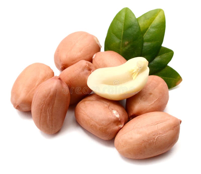 Processed Peanuts on White Background Stock Image - Image of shell ...