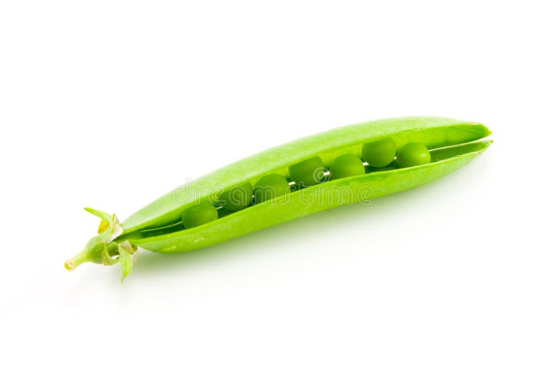 Ripe green peapod stock photo. Image of garden, sativum - 32300308